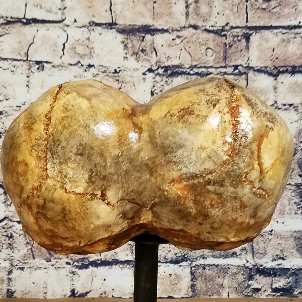 Conjoined Twins Human Skull Sculpture or Planter – ToHitTheRoad