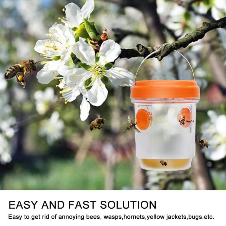 2 Pack Solar Wasp Traps – ToHitTheRoad